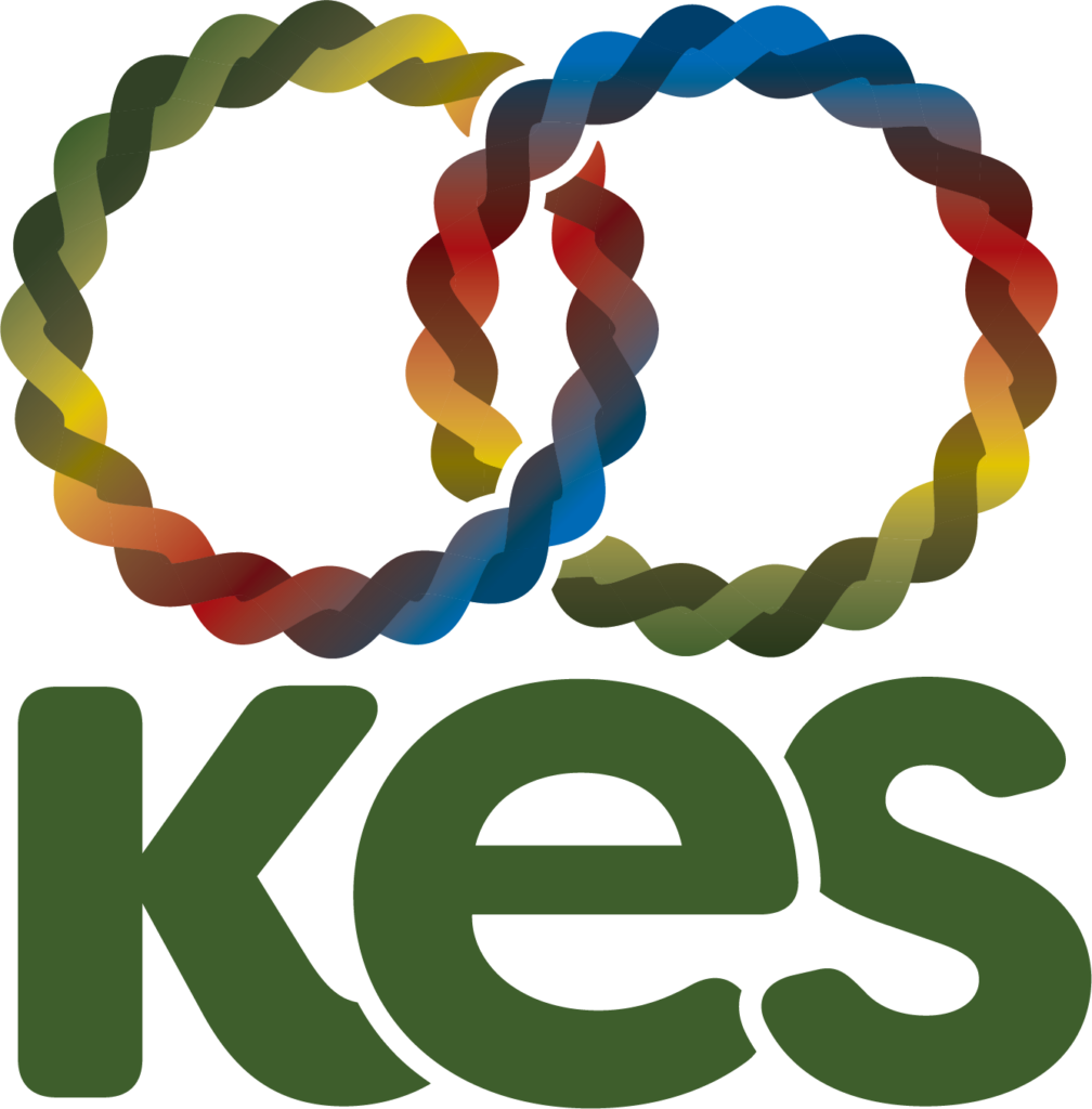 KES Engagement Services